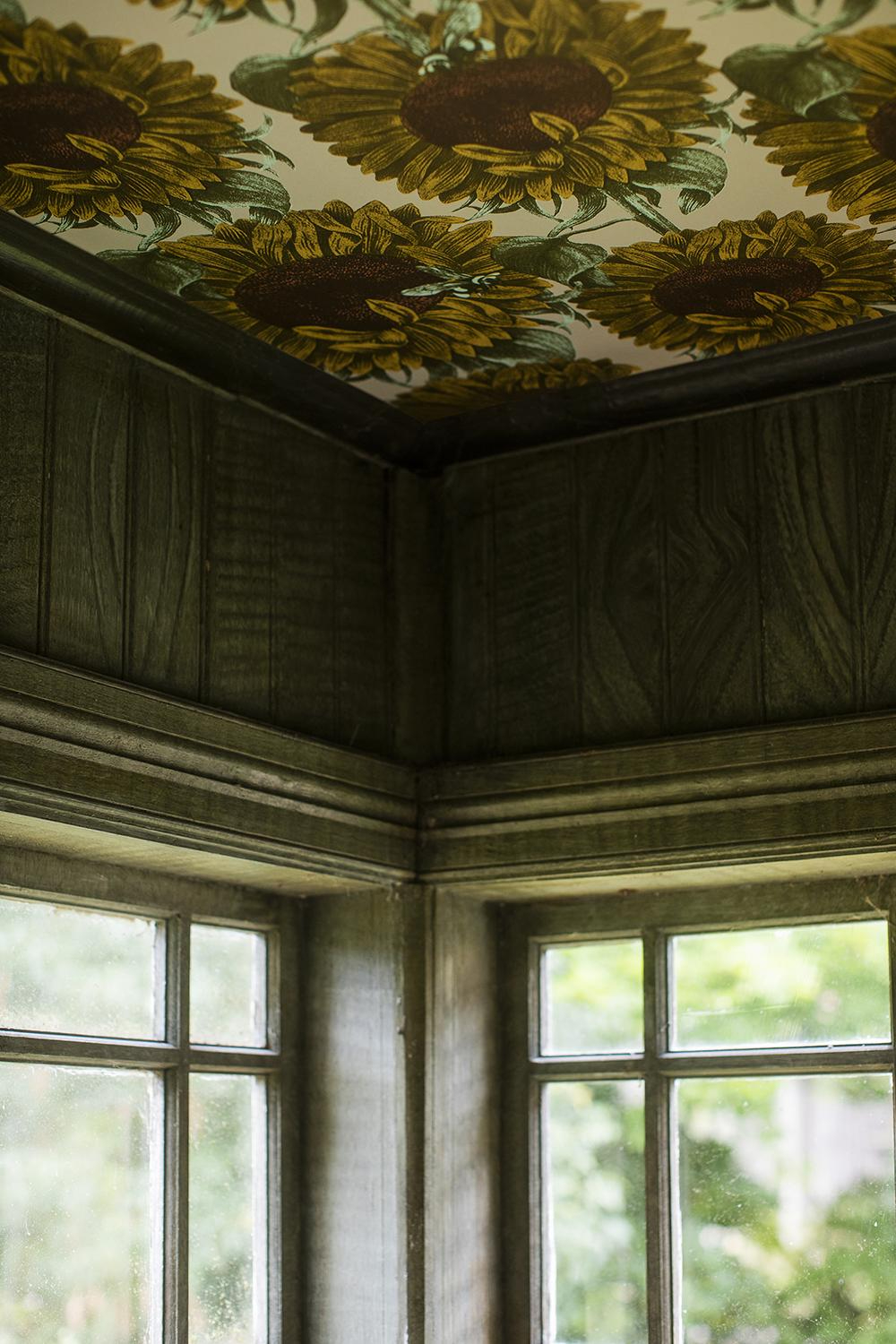 Tapete Sunday, beige | Rolle | SW10016.1