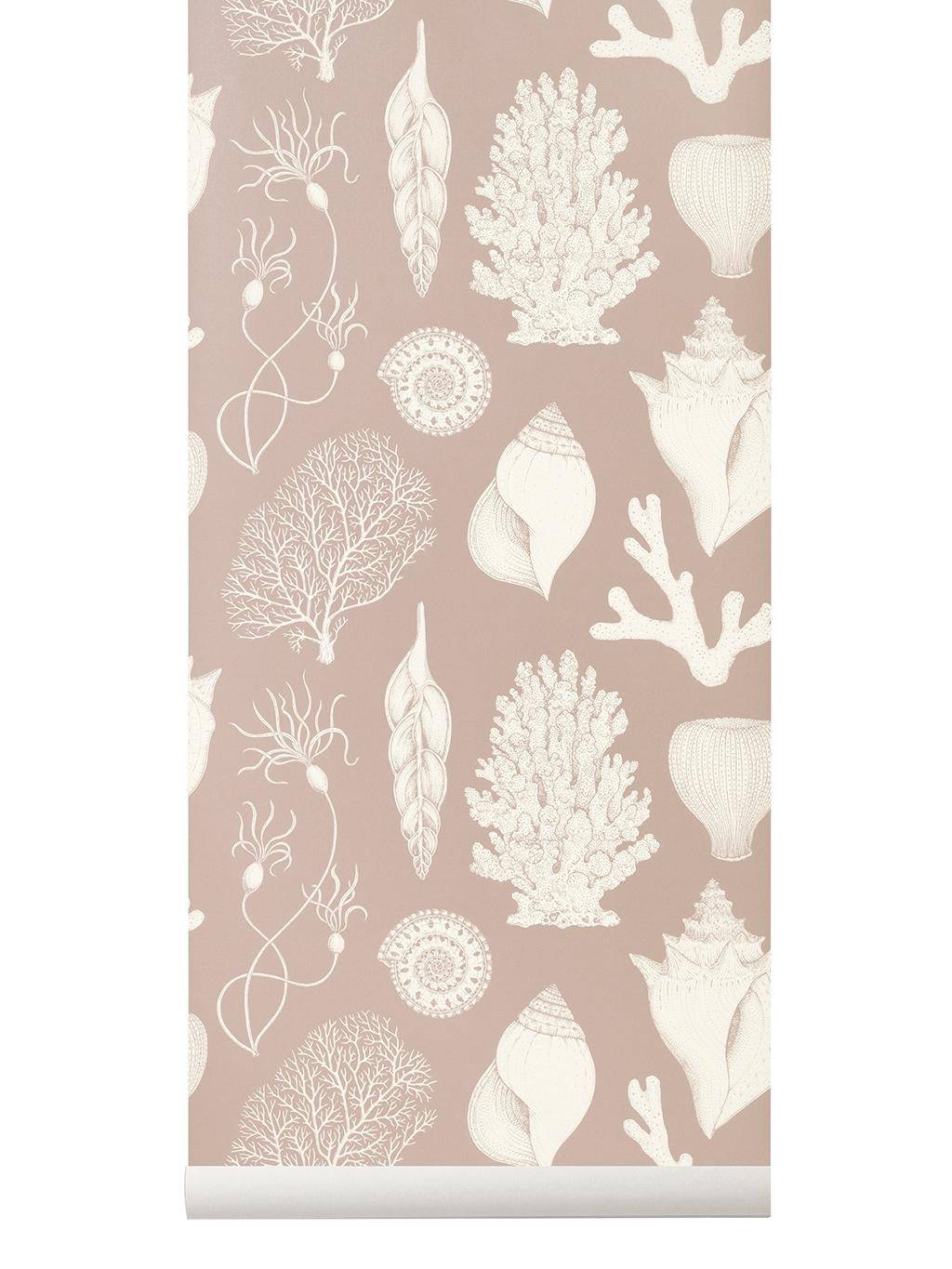 Shells - Rose | ferm LIVING ApS | 17819.2